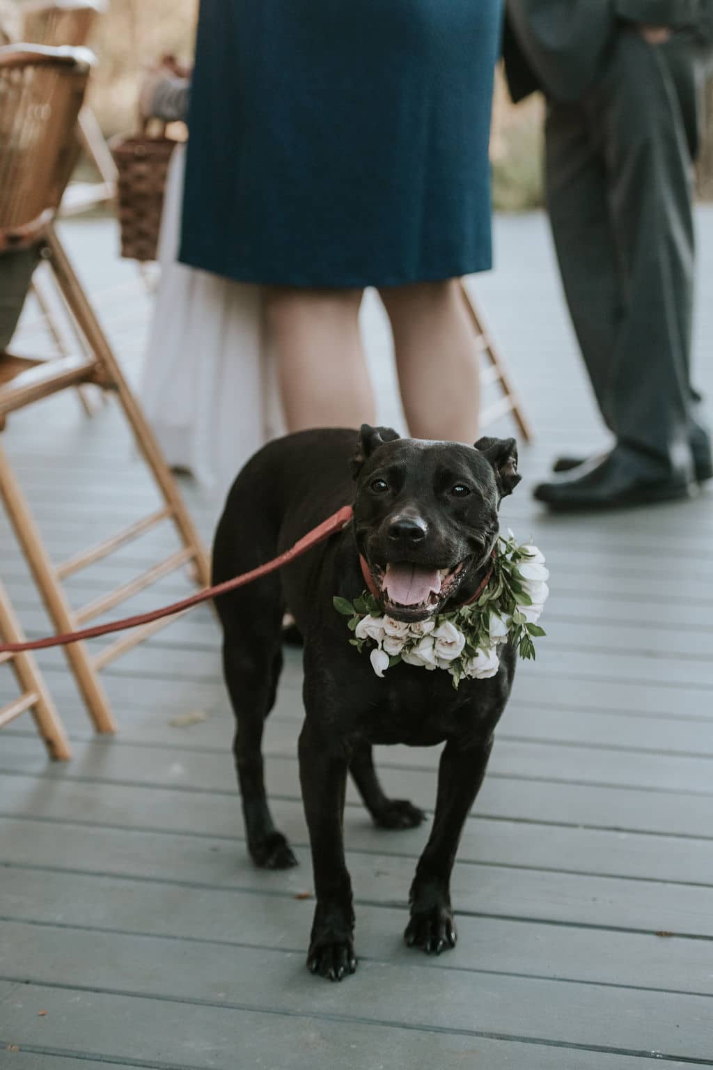 Promise Ridge FAQs - Alisa Tongg, Celebrant